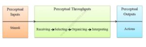 Process of Perception - What is Perceptual Process?