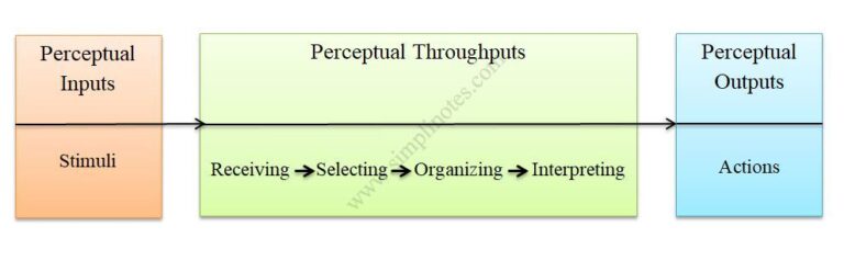 Process of Perception - What is Perceptual Process?