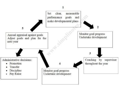Performance Management - Meaning, Features, Need and Cycle