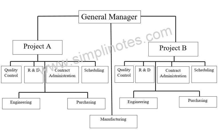 project organization